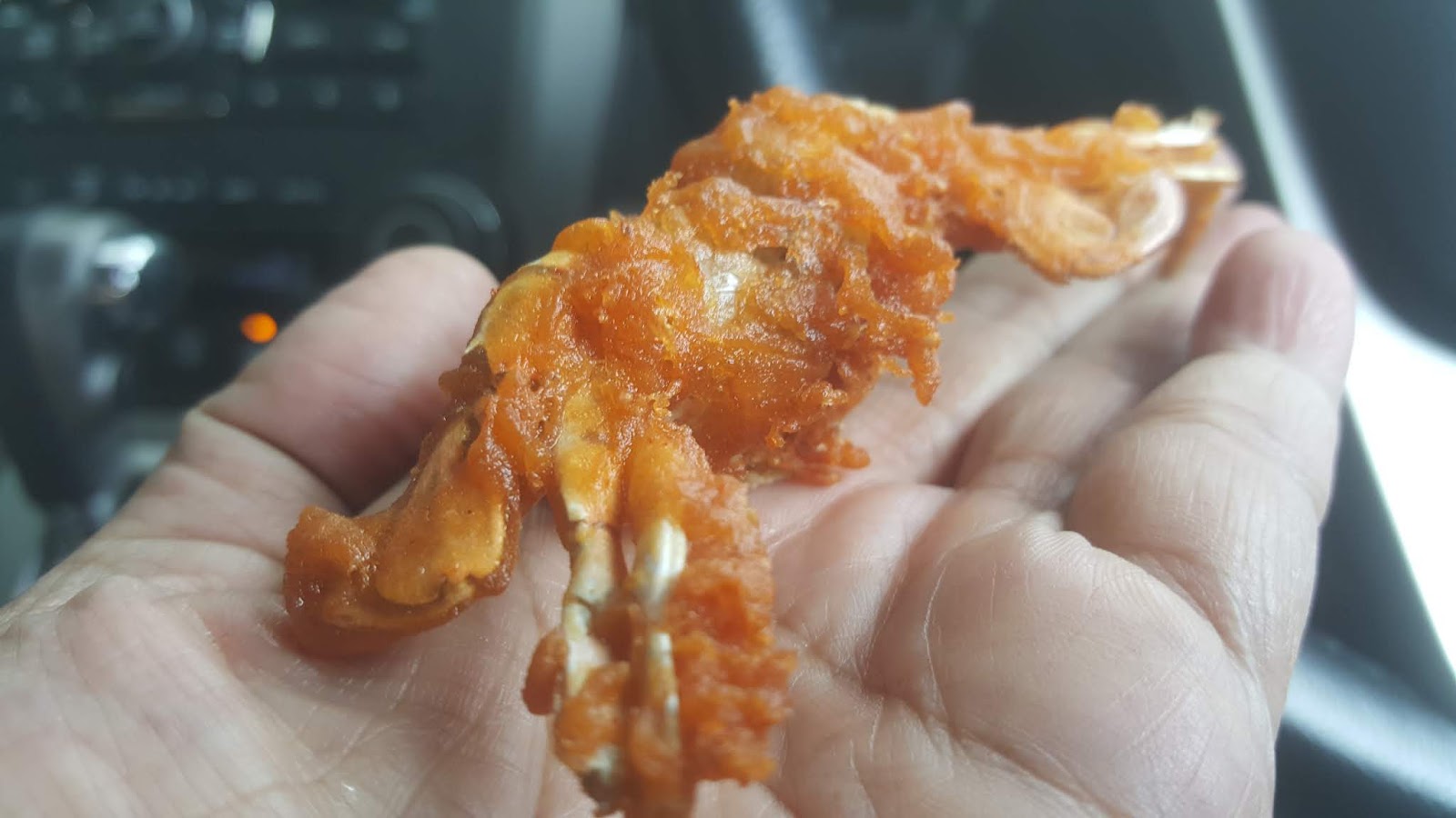 Suka ambil gambar makanan