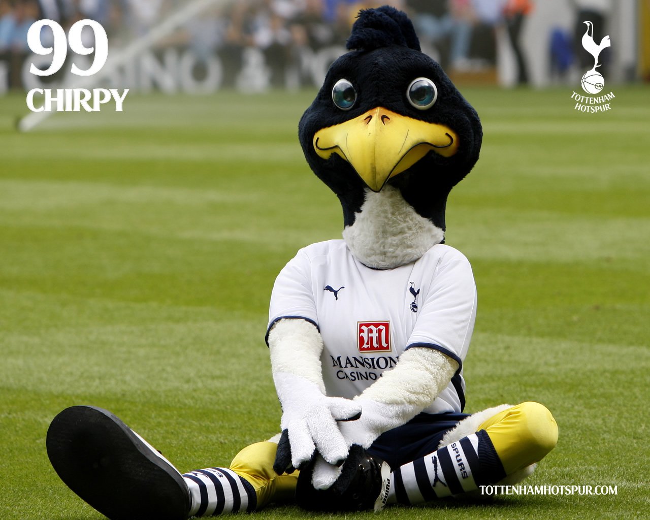 Chirpy the Cockerel comes in 9th on a list of the BPL's mascots : r/coys
