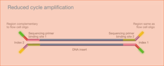 The PhD journal: Illumina Sequencing