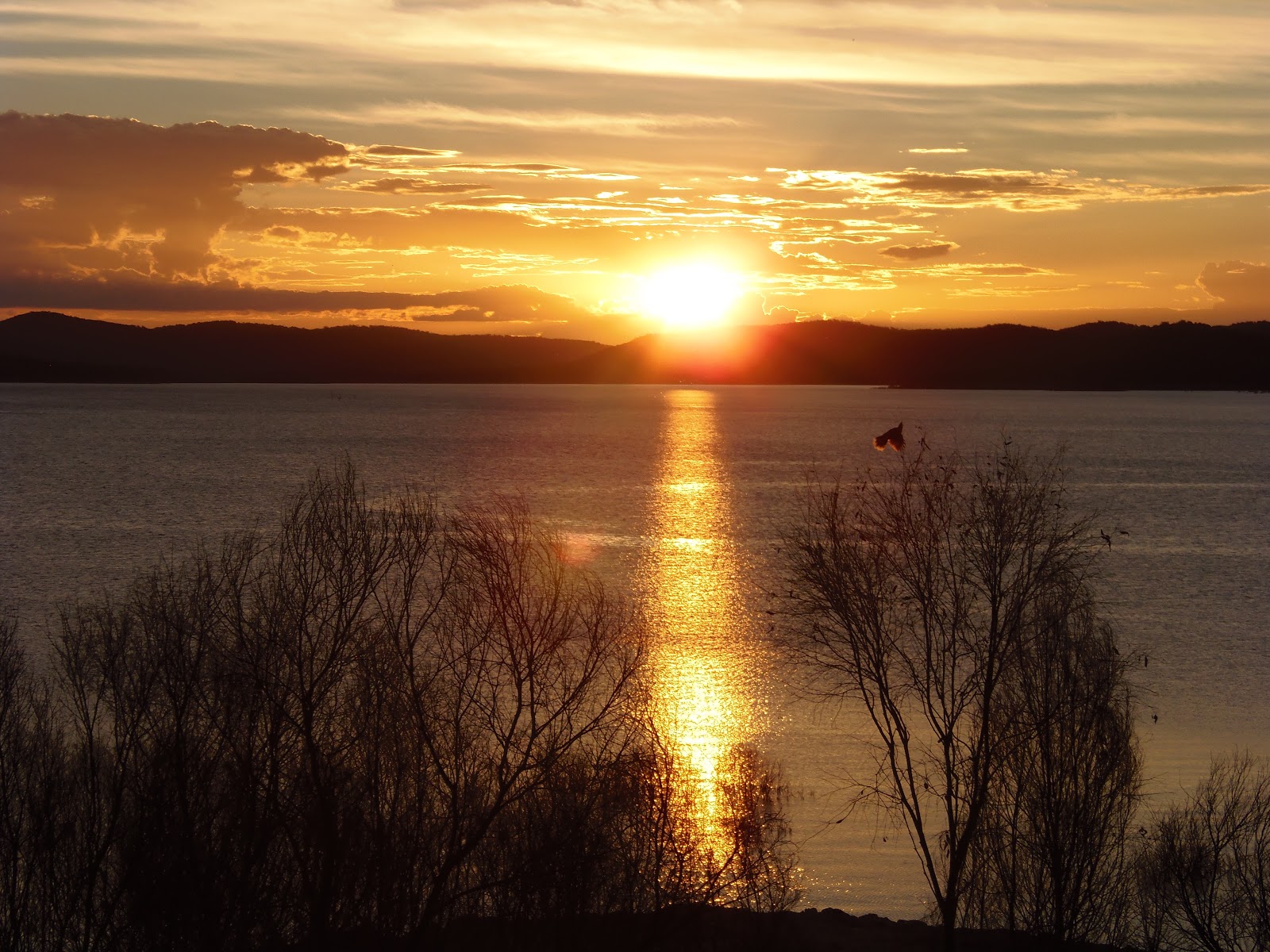 Solo Steve On The Road: COPETON DAM NORTHERN FORESHORE