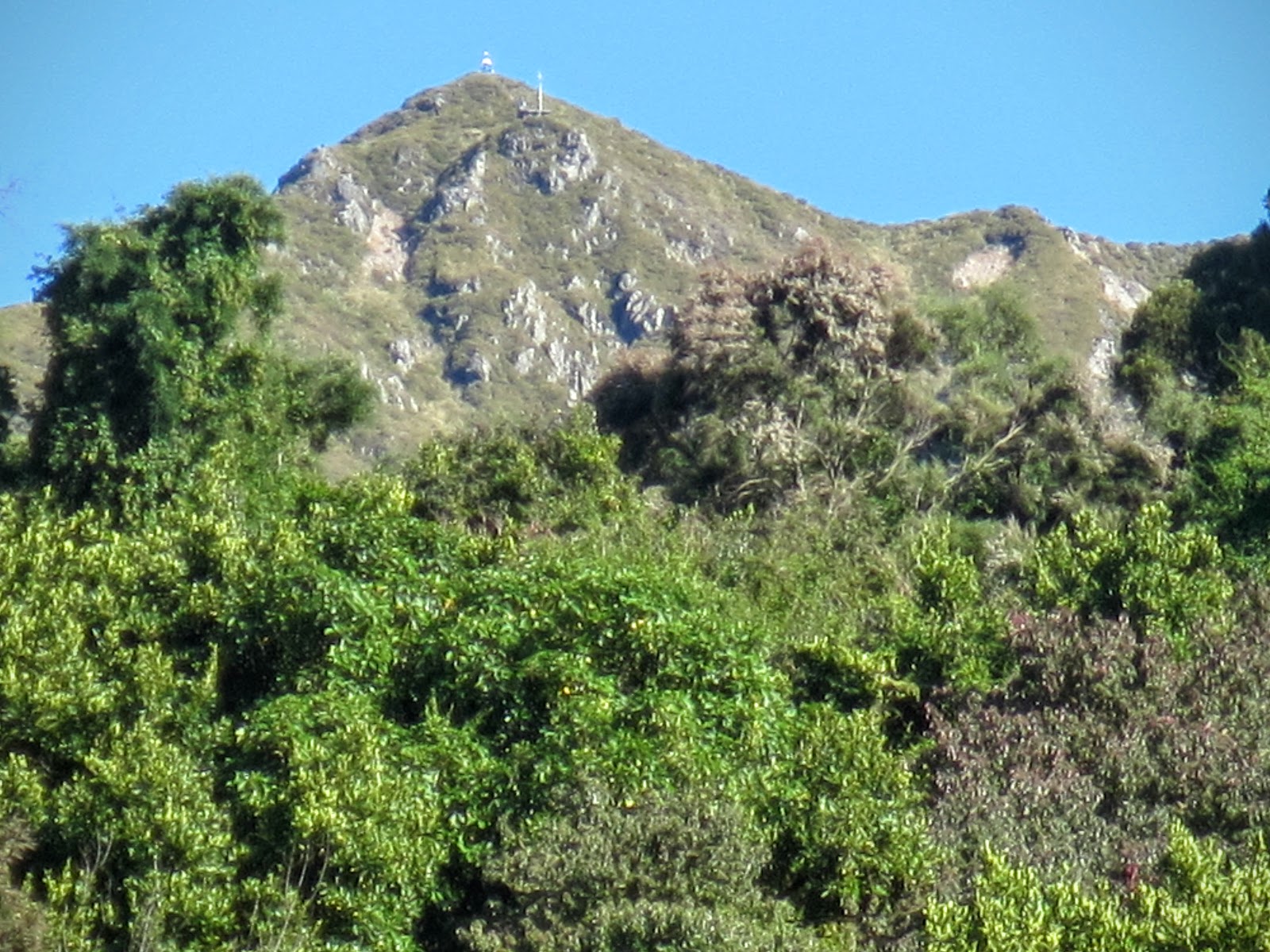 Tramping in the New Zealand backcountry: NZ Bush Adventures: Peel ...