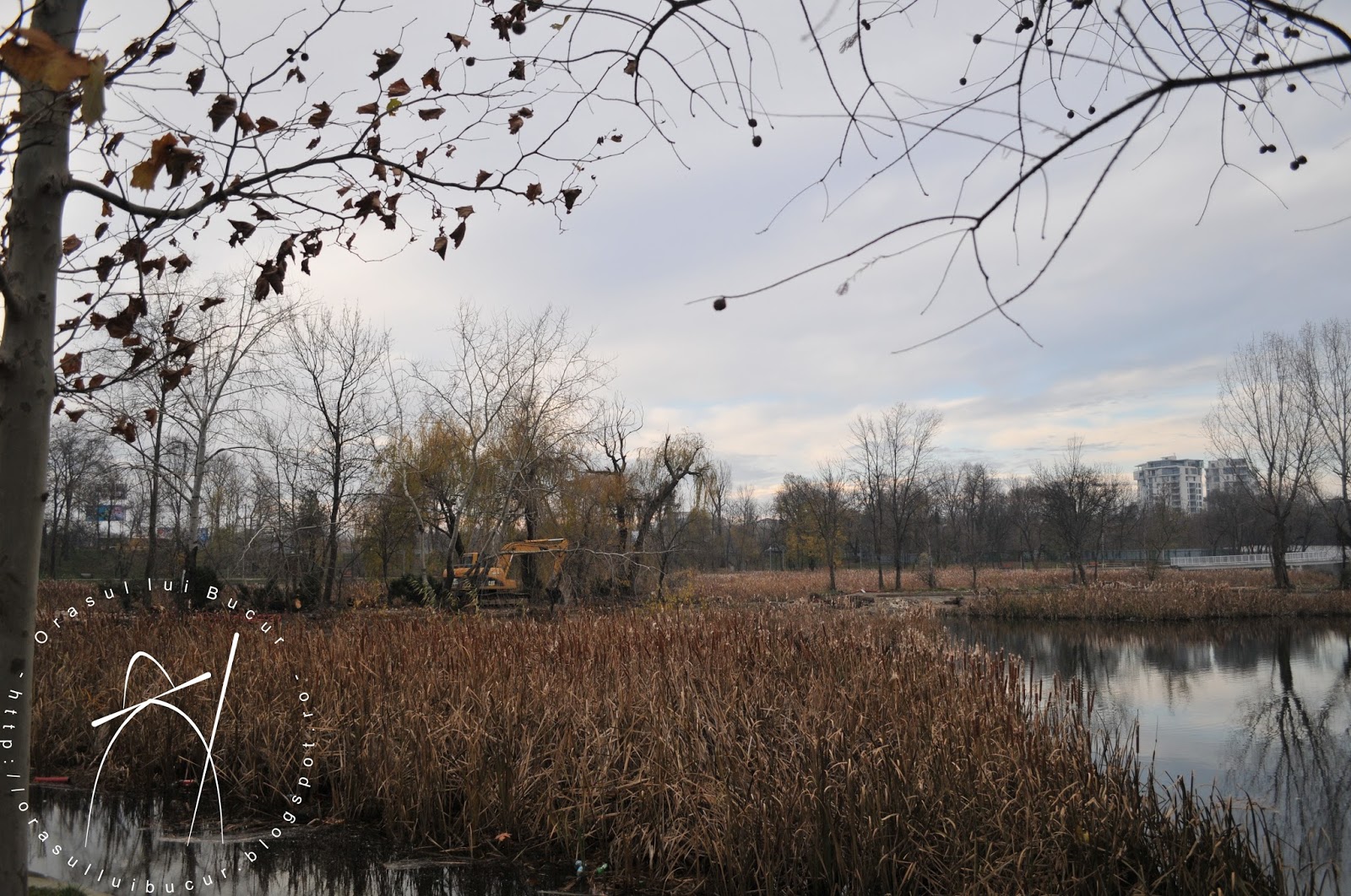 Orasul lui Bucur: Lacul din Parcul Bordei
