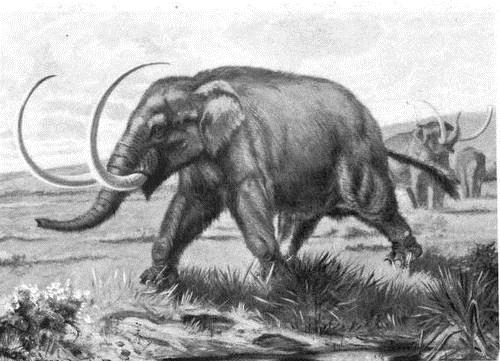 Palaeos, la historia de la Vida en la Tierra: marzo 2012