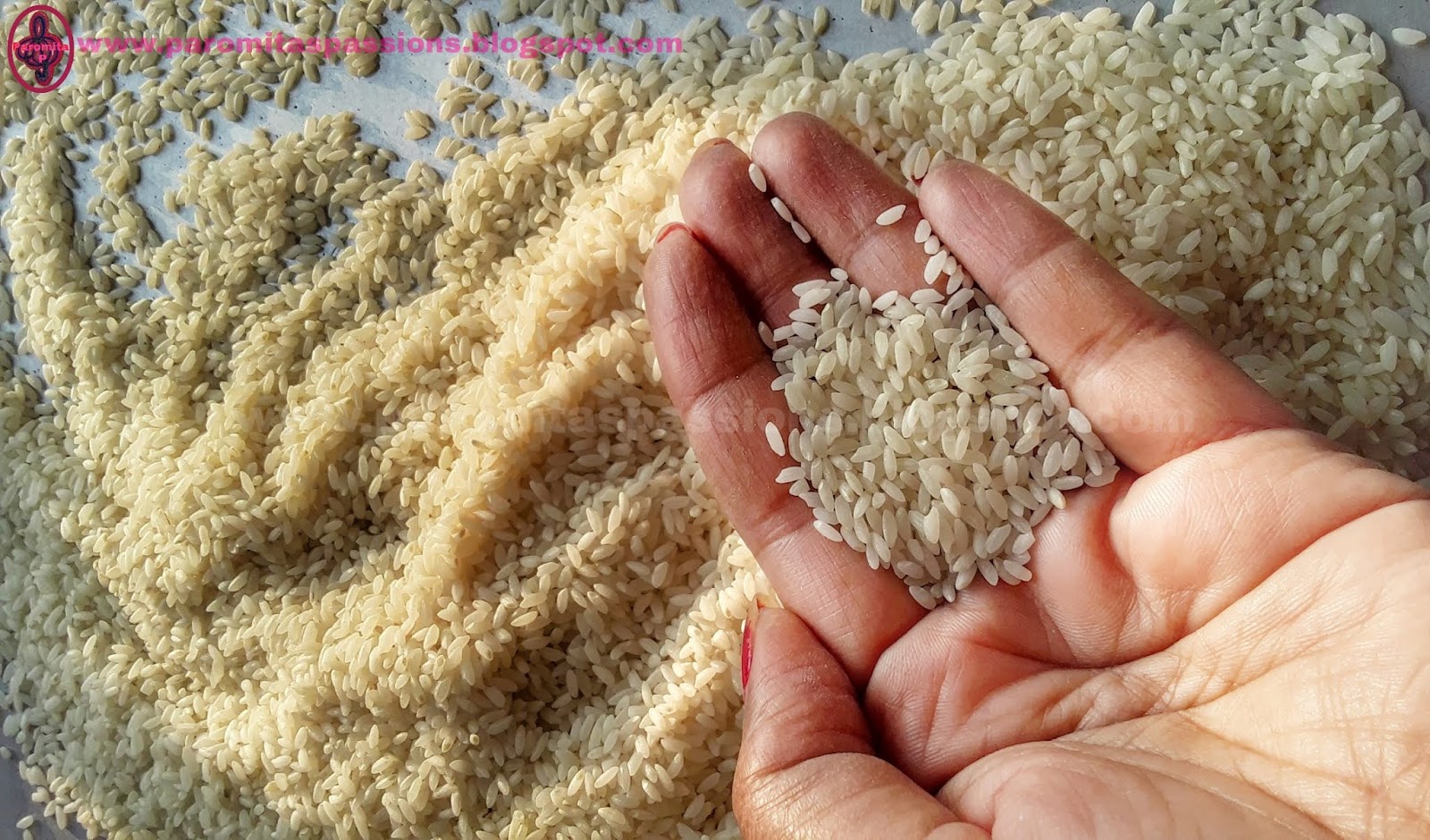 Gur Batashe wali Kheer - Paromita's Passions