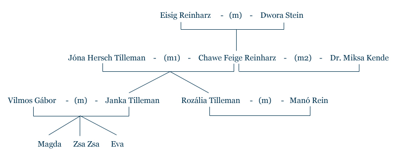 Nick Gombash's Genealogy Blog: The Hungarian-Jewish Family Tree of Zsa ...