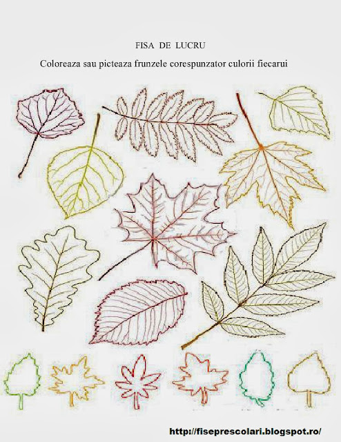 FISE de lucru pentru anotimpul Toamna - Gradinita :: Fise de lucru ...