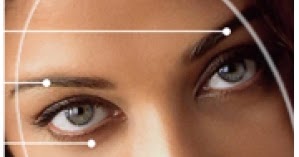 Los 7 temperamentos de la fisiognomía