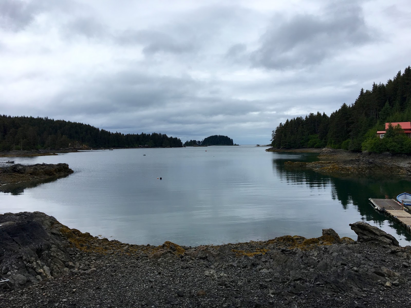 The Life of H. Ernest Chen: Visiting Shannyn in Little Tutka Bay, AK