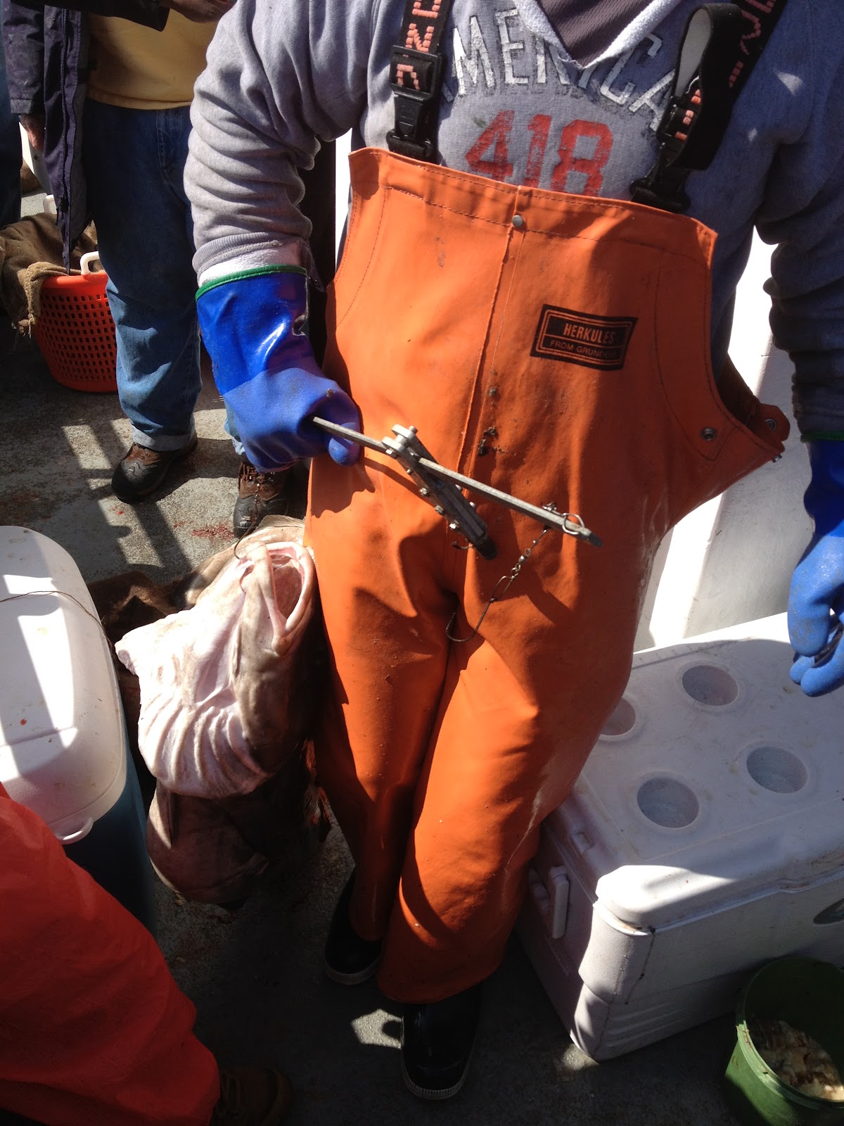 215fishspot: Spring Cod Fishing - Cox Ledge Report, March 18-19, 2012