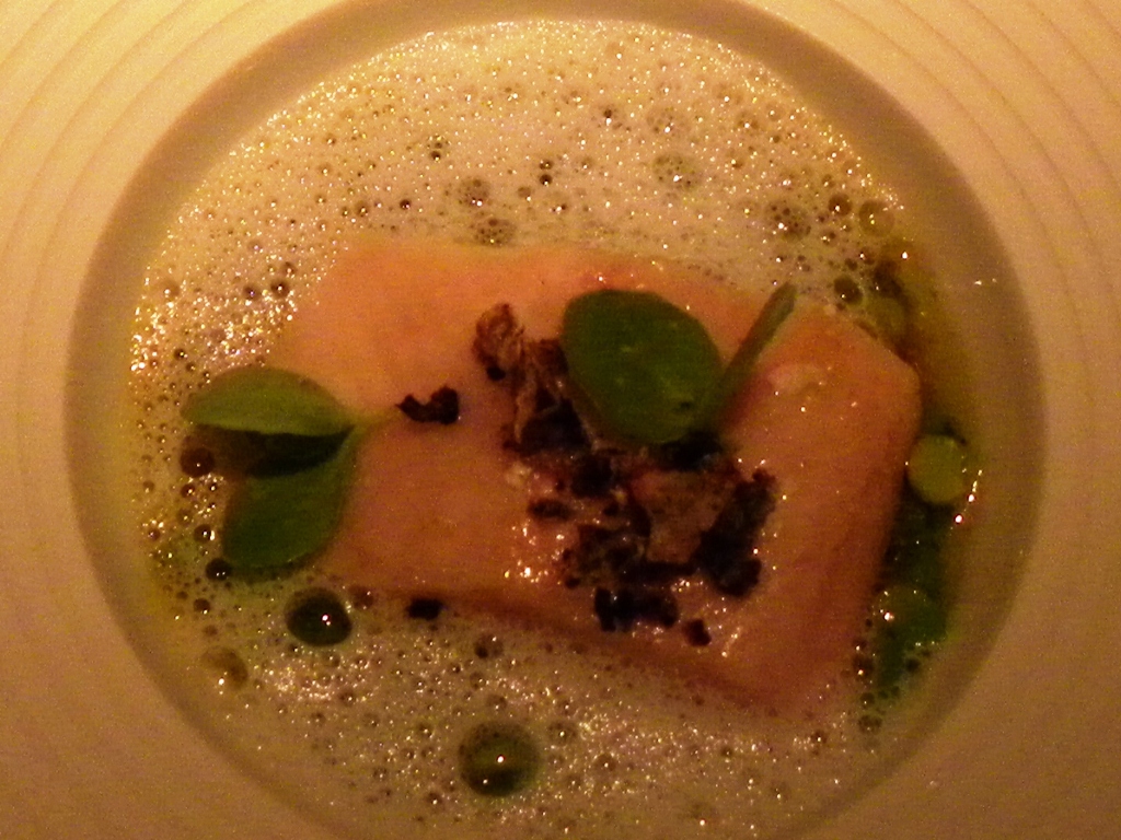 Travels - Ballroom Dancing - Amusement Parks: Restaurant Facil, high ...