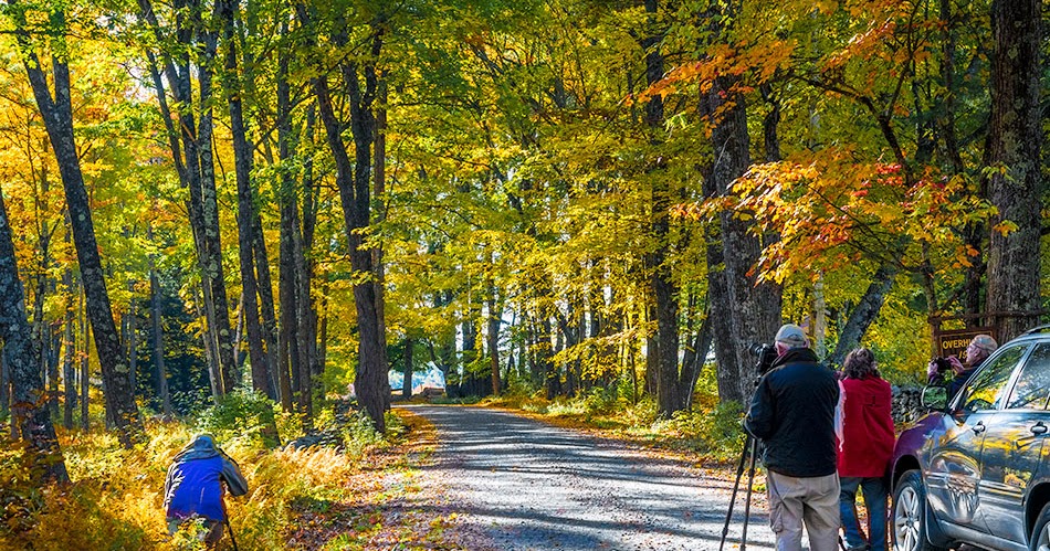 Getting it Right in the Digital Camera : Fall Foliage Weekend Workshop