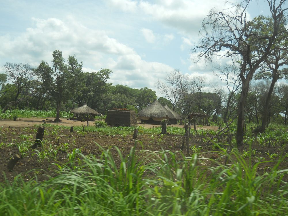 HM's weblog: Long Duration Patrol to Lainya - the pictures