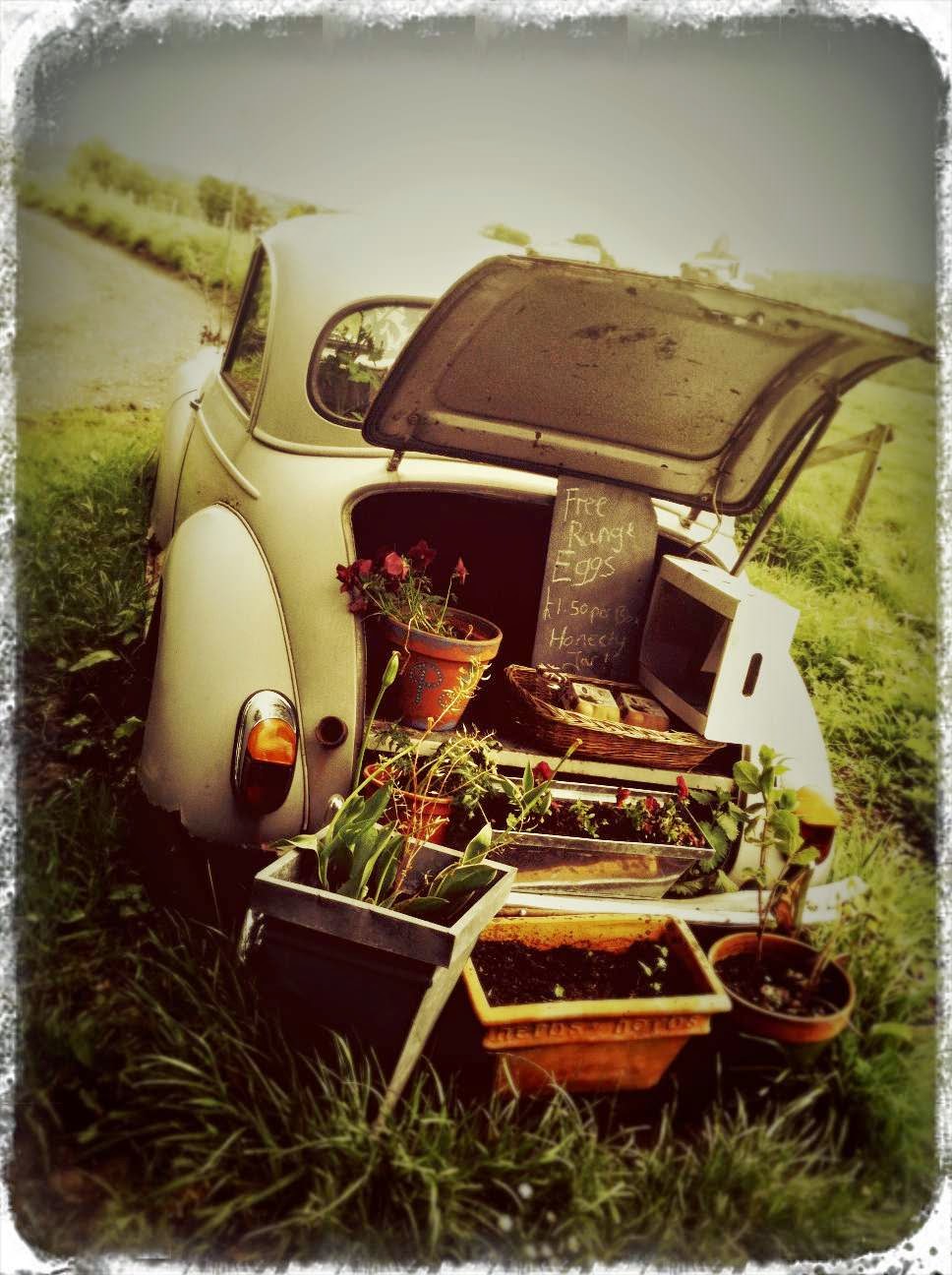 'SUMMER WINE' HIKERS: Roots walk of Robertsbridge