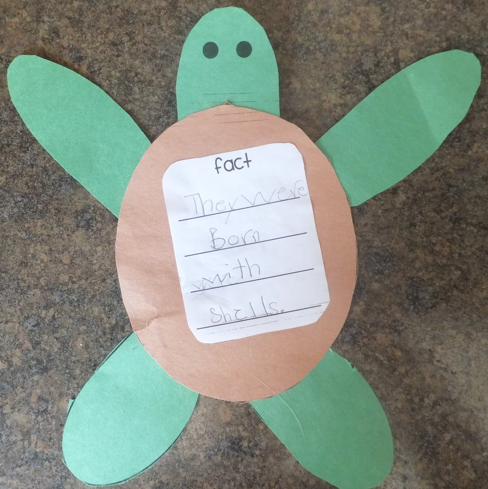 Winners & Baby Sea Turtles | Falling into First