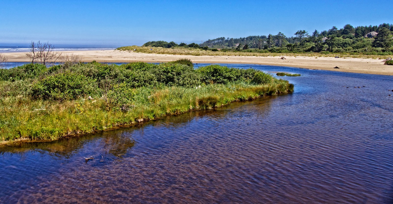 Thom Zehrfeld Photography : Brian Booth State Park | Ona Beach
