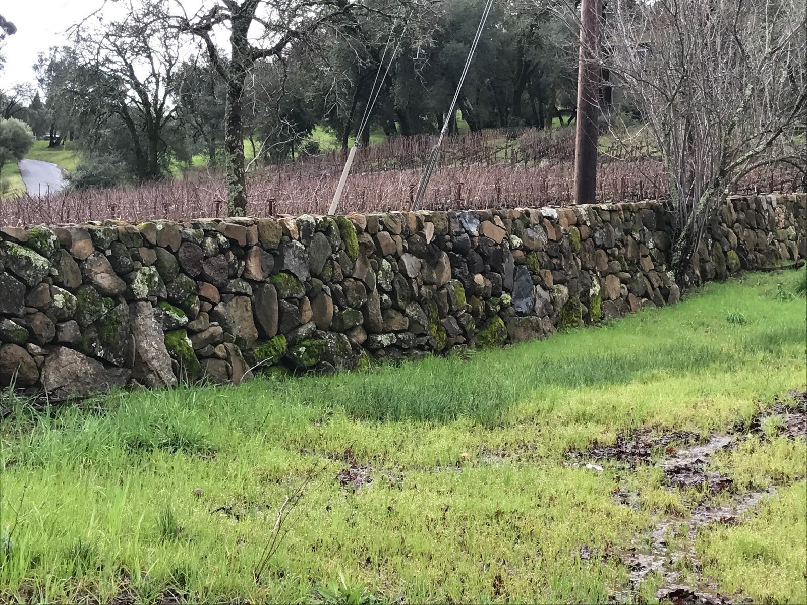 Thinking With My Hands: Napa Valley Dry Stone Walls