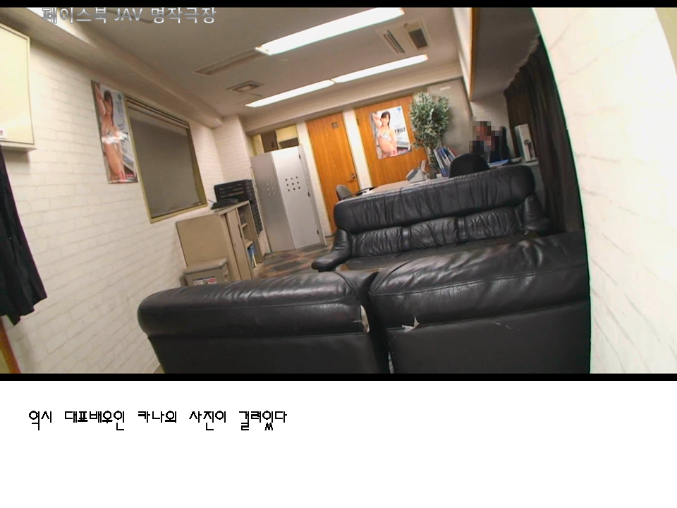 IPZ-855 모모노기 카나(Momonogi Kana)