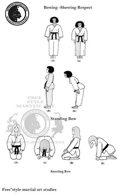 free" style martial art: Basic kata stances