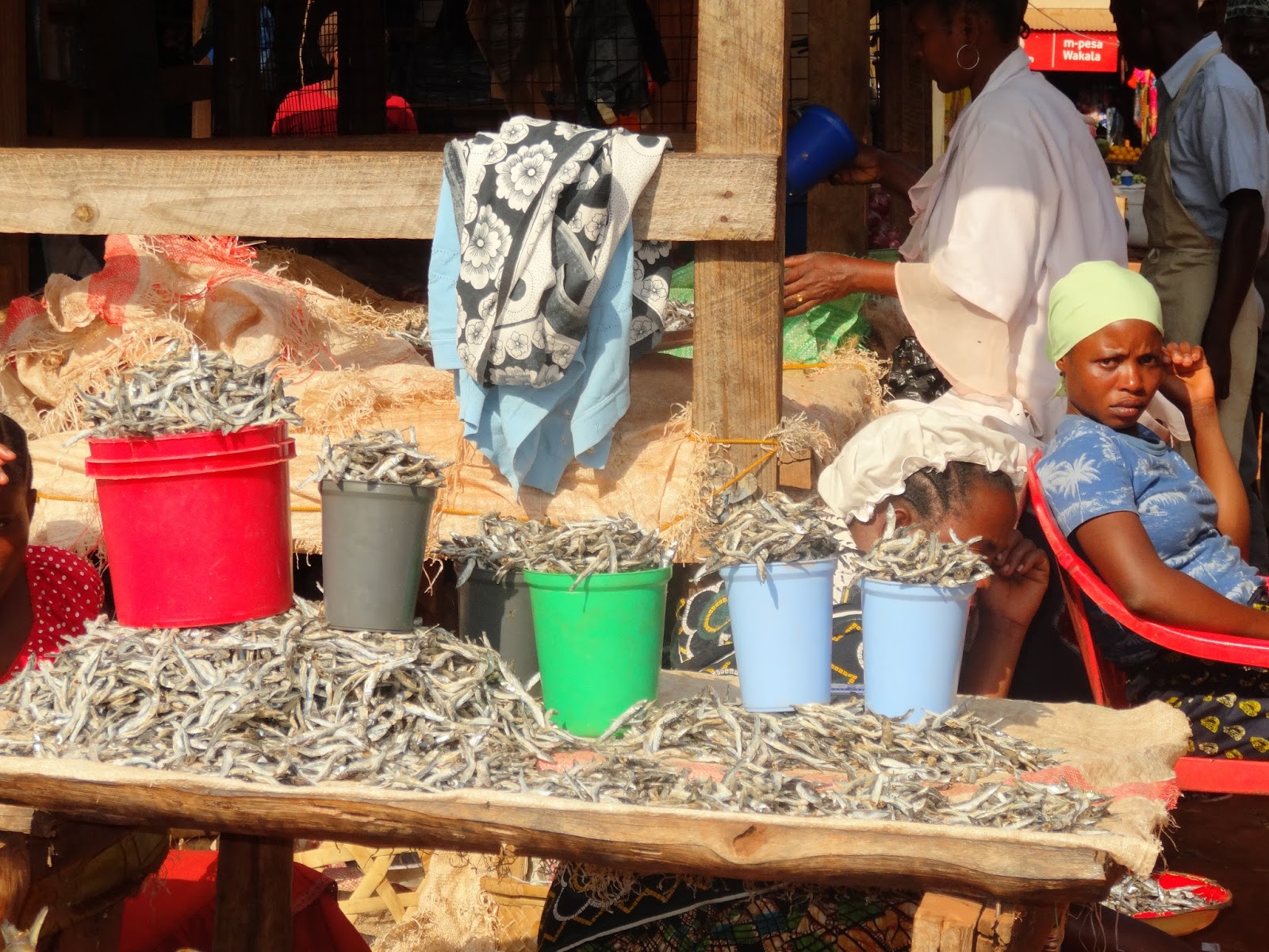 CATHY - HABARI: WANAFUNZI WA SHULE YA SEKONDARI MSAMALA SONGEA ...