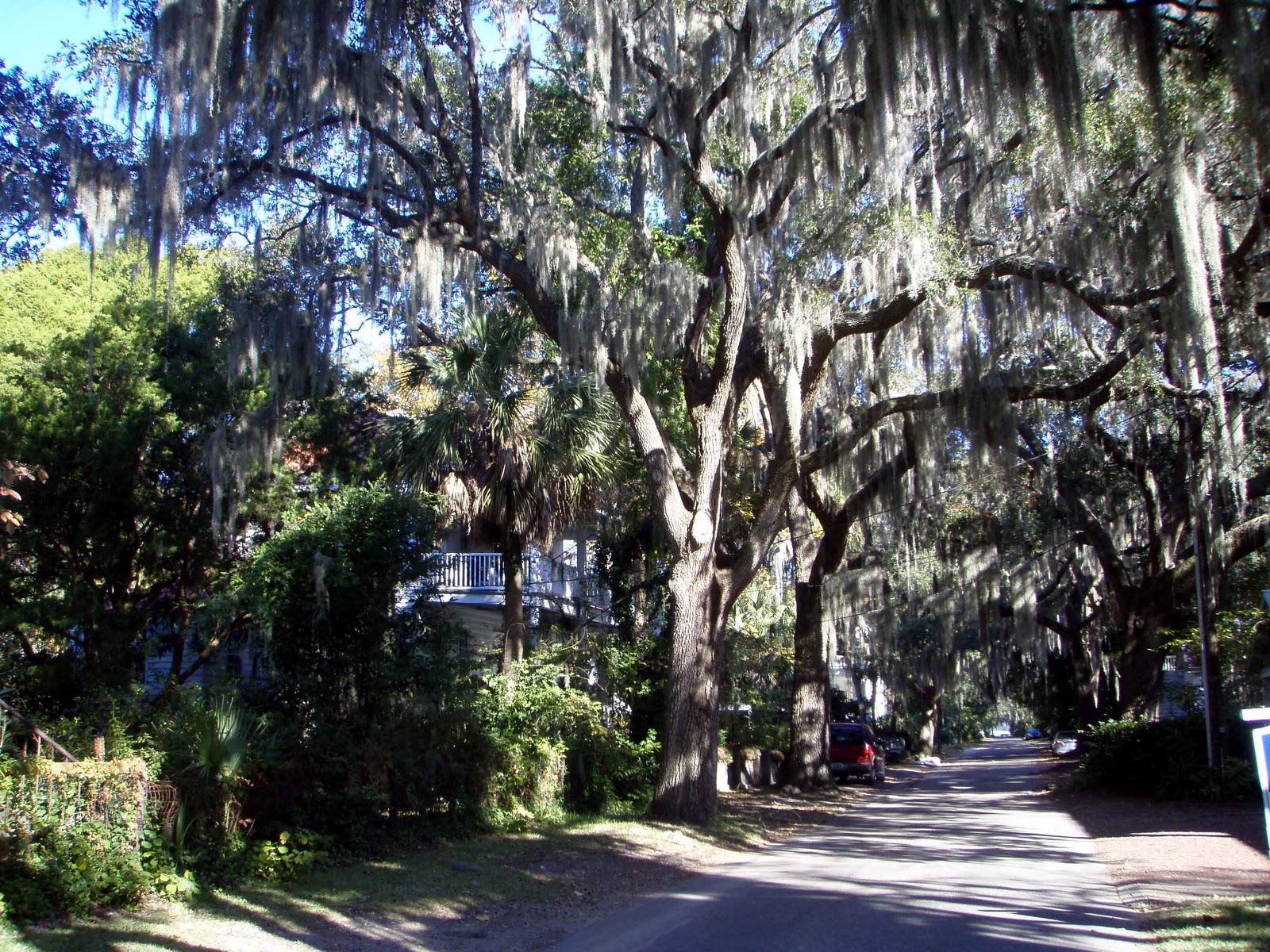 Exuberant Sailing: Crusing the Carolinas (and Georgia, too)