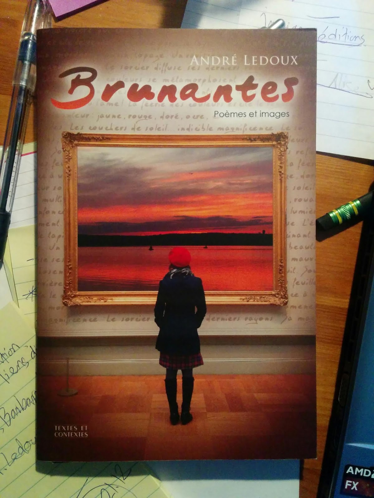 Denis Morin, auteur: Brunantes d'André Ledoux