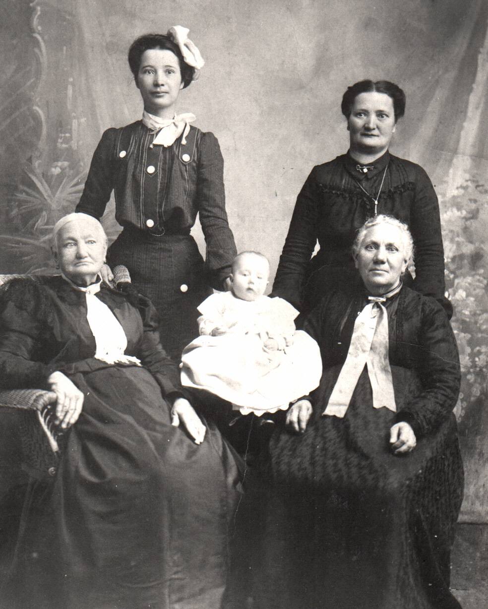 Revealing Roots and Branches: I Promise You Will Love Them