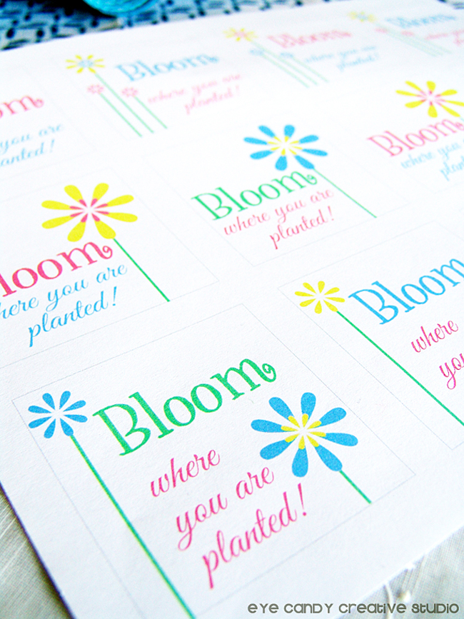 Eye Candy Creative Studio: FREEBIE :: Spring Bloom Pudding Cups