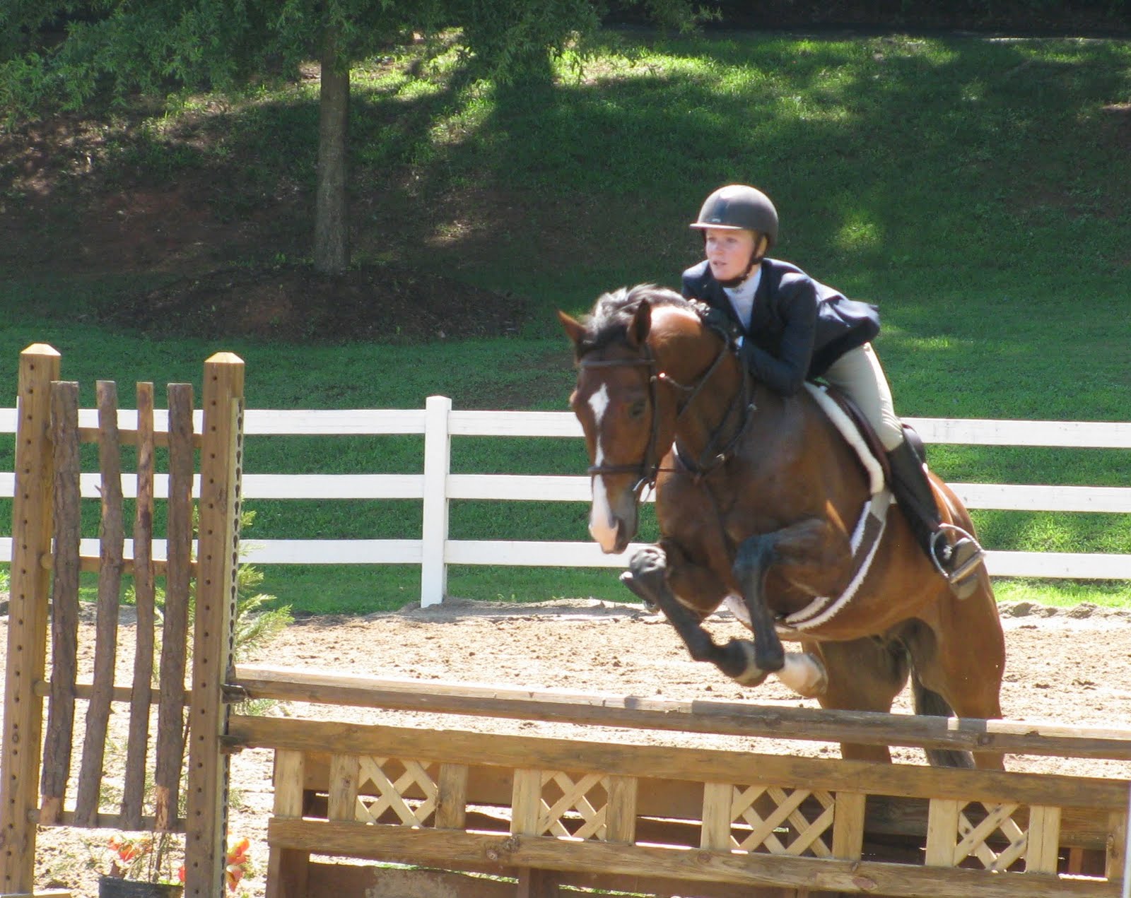 Girls and Thier Horses: Horse Show Jumping
