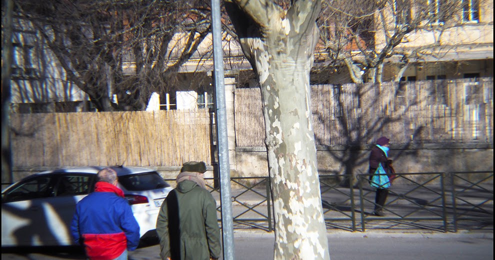 Two Weekes in Provence and North Florida: Shadows, Apt