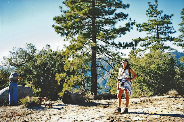 Western Sojourns: Travels with Camissonia: HORSE FLATS/MT. HILLYER ...