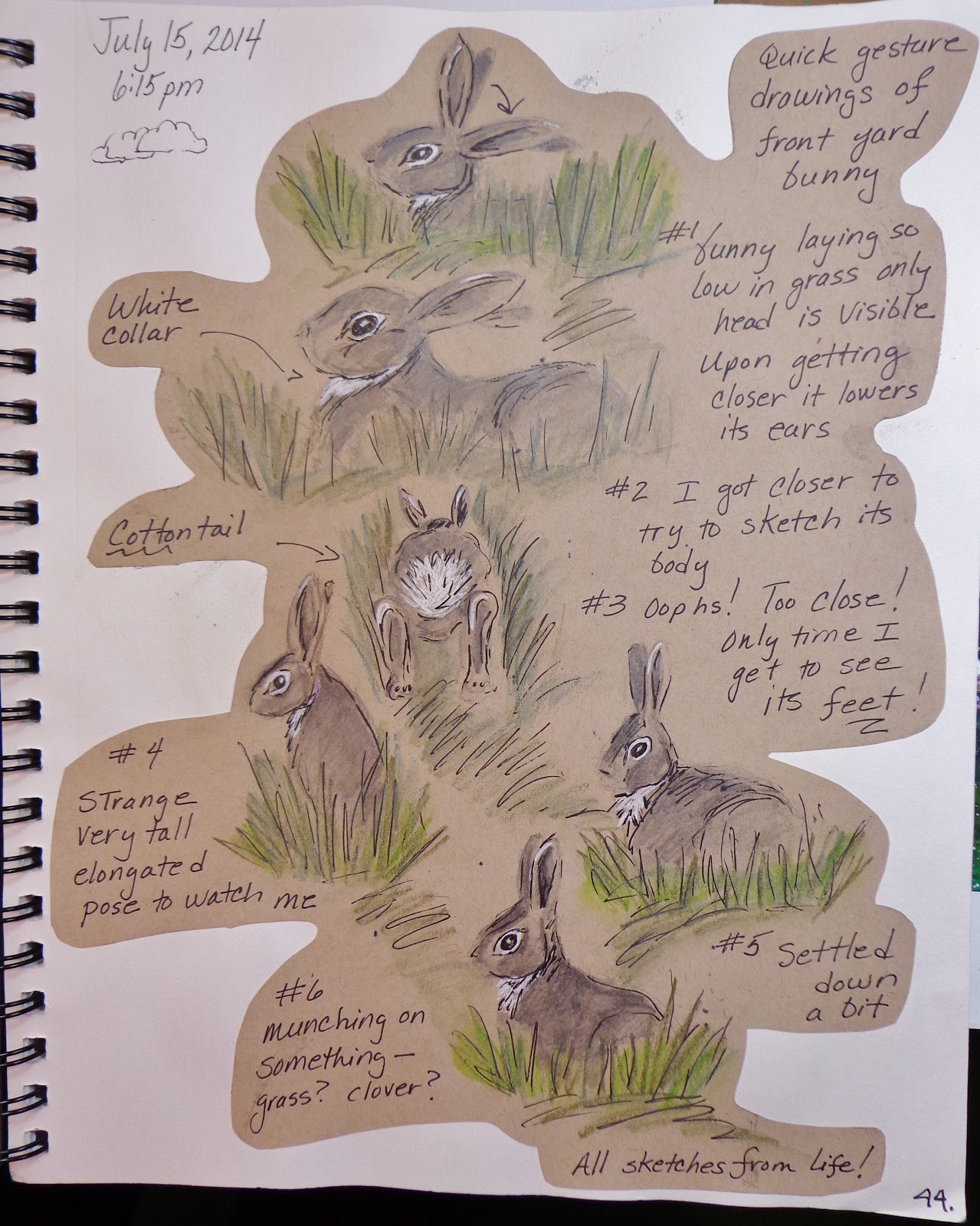 Plays With Pencils: In Pink Bunny P.J's Sharing Rabbit Sketches