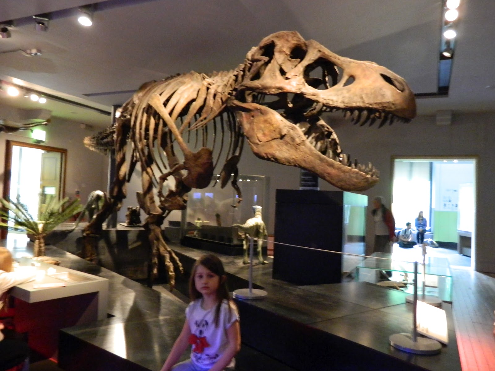 amandauniquely: The Hancock Museum