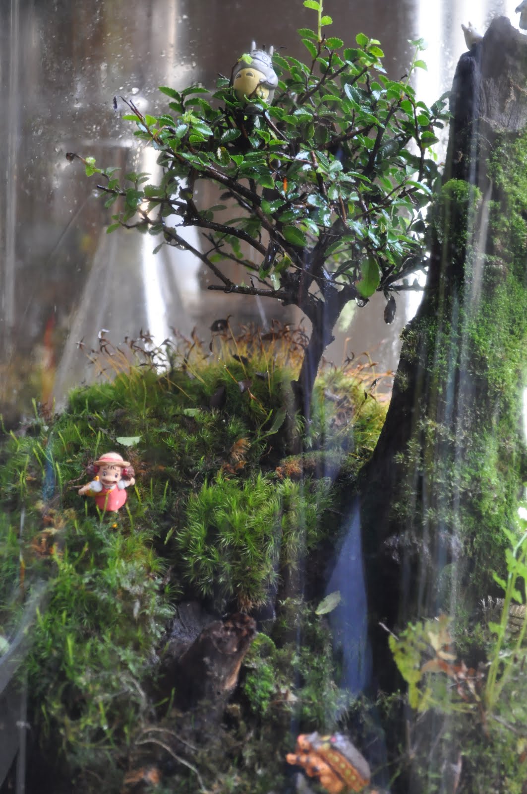 Terrarium & Timmy: Mega bonsai totoro terrarium