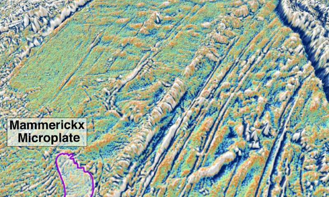 Microplate discovery dates birth of Himalayas - Geology In