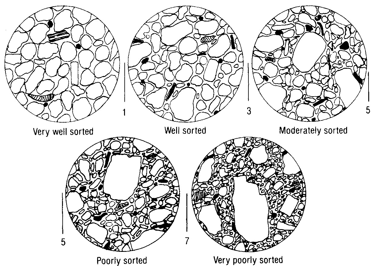 Analisis Batuan Sedimen (Bagian 3) - BELAJAR GEOLOGI - Blog Tentang ...