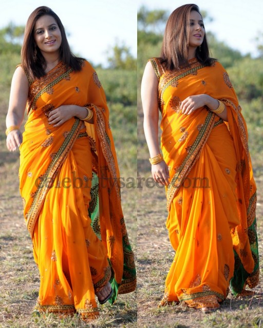 Actresses in Designer Saris - Saree Blouse Patterns