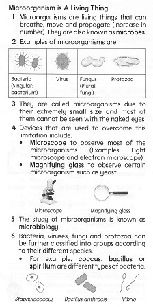 Fun with microorganisms: NOTES