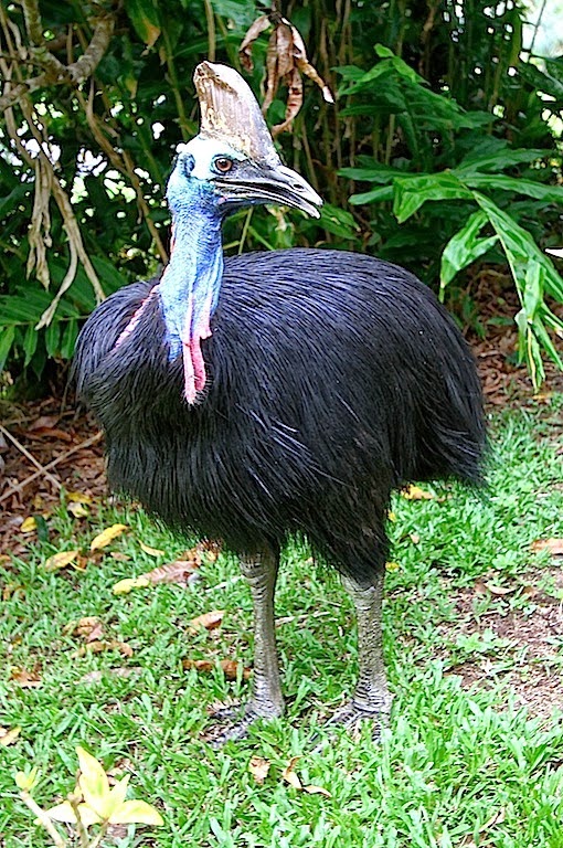 News from Coquette Point