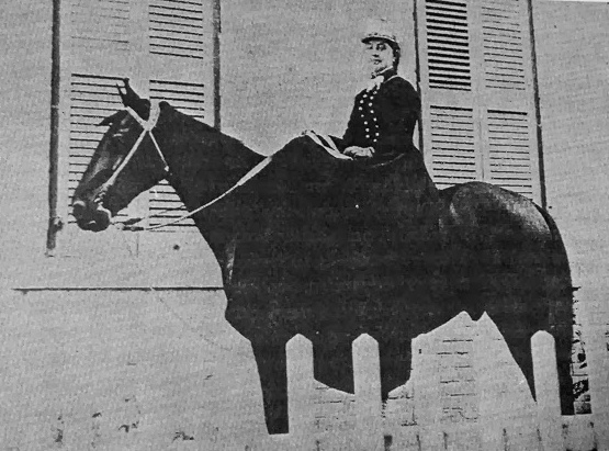 SHOW ME - Johnson County - West Central Missouri History: 1903 Shooting ...