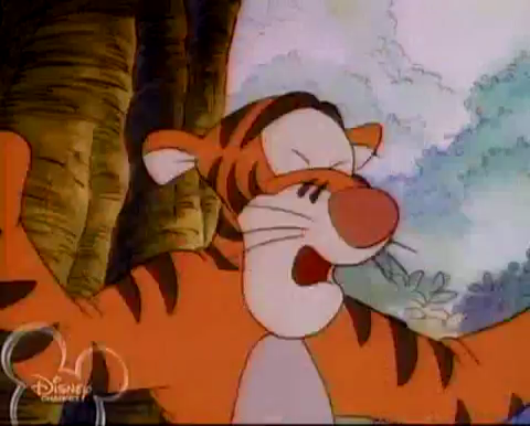 The New Adventures of Winnie The Pooh: Tigger's Shoes
