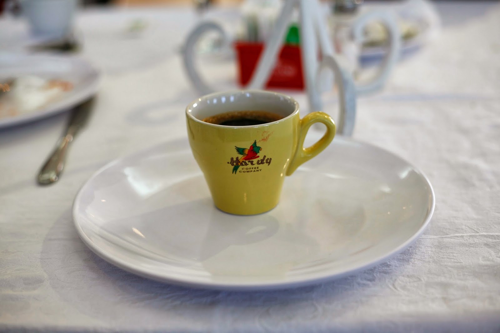 Albanian Travels and Travails: Elbasan