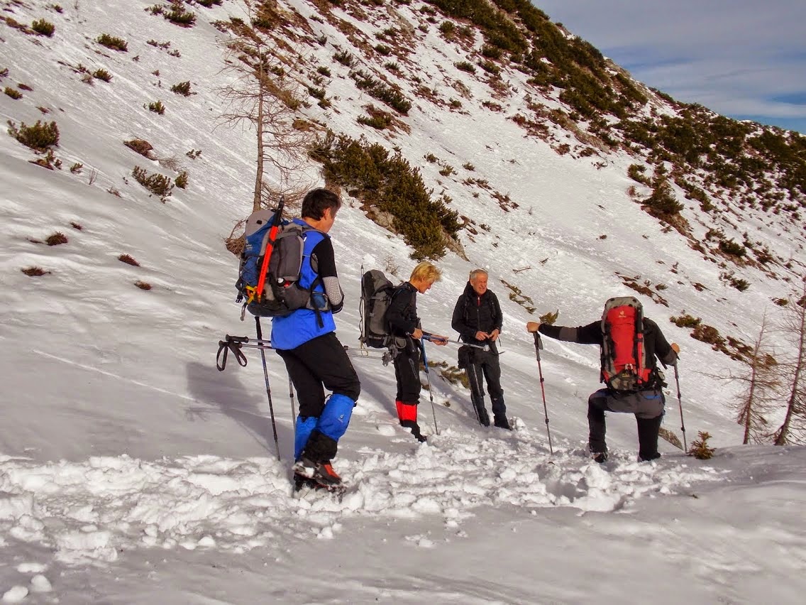 Voluharski potopisi: januar 2015