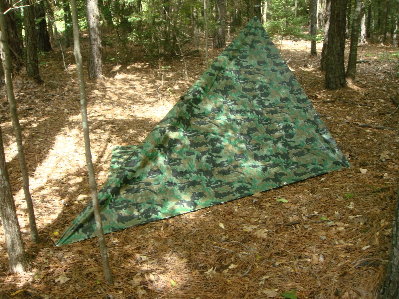 Sensible Survival: The Plow Point or Diamond Fly Tarp Set-Up