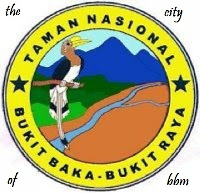 Taman Nasional Bukit Baka Bukit Raya (TNBBBR) | Sangkay City