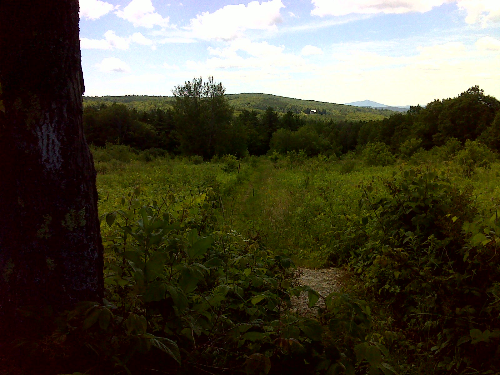 Heart and Sole: New Hampshire - the opening Aria