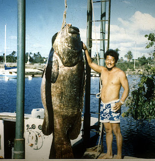 Big Fishes of the World: GROUPER GIANT (epinephelus lanceolatus)