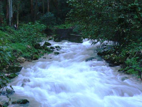 Historia: Los Biomas