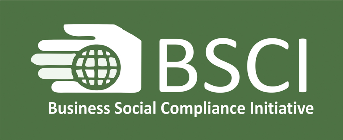 QSG Corporation Co.,Ltd.: Business Social Compliance Initiative (BSCI)