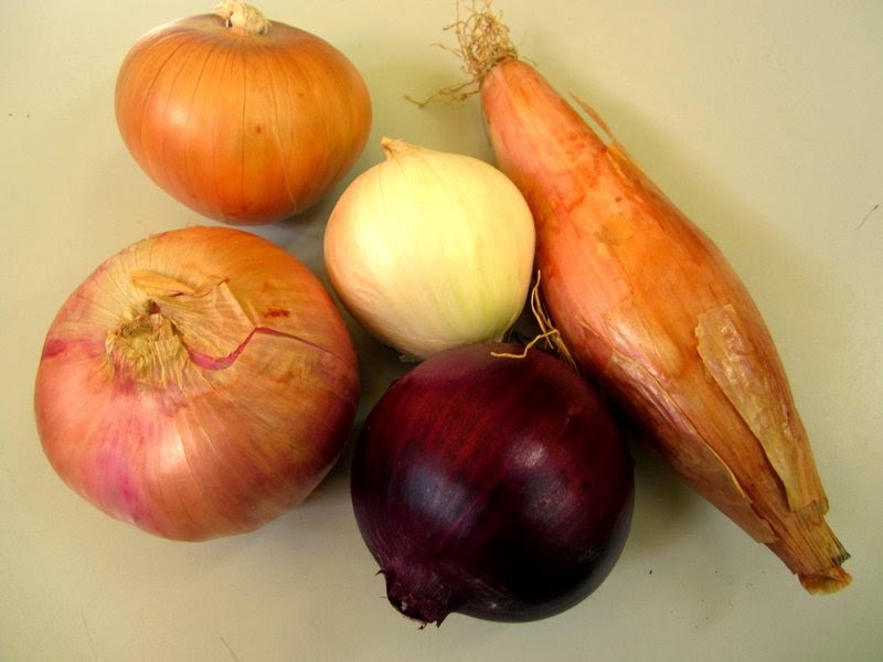 L'HORT DEL PEGUERA (NOUHAYLA): de novembre 2014