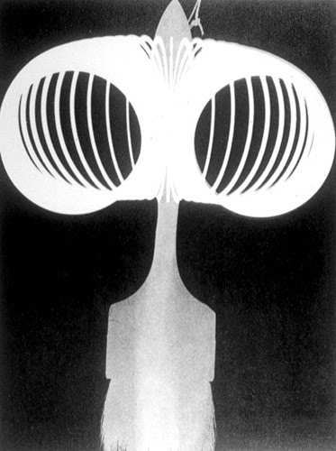 LA IMAGEN DEL SIGLO.: MAN RAY. Rayografías, fotogramas